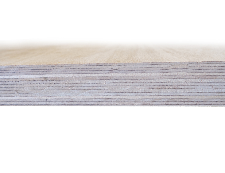 CP BAUBUCHE Q 3000x1820x40 FS